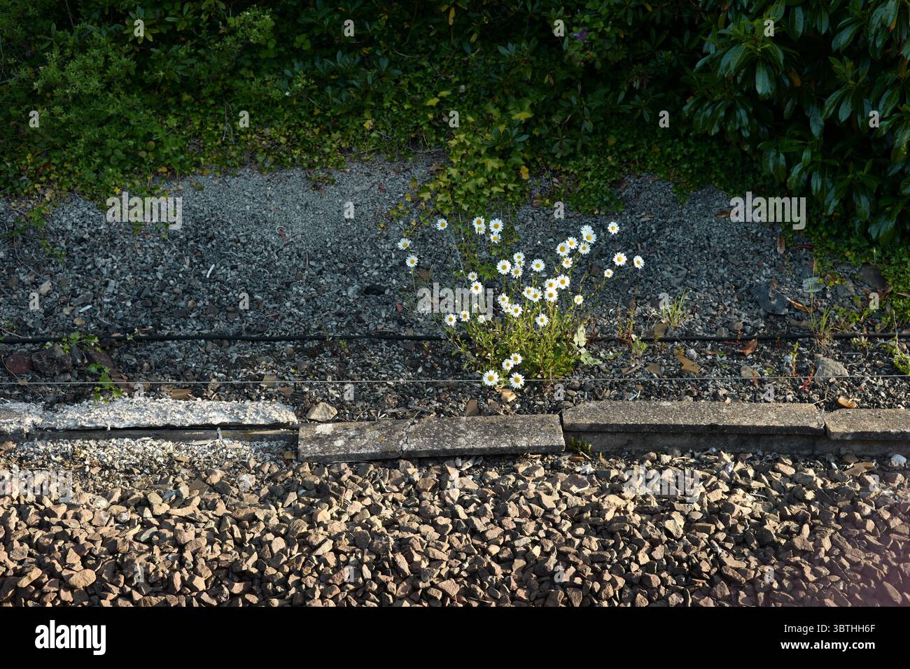 train line track signal Stock Photo - Alamy