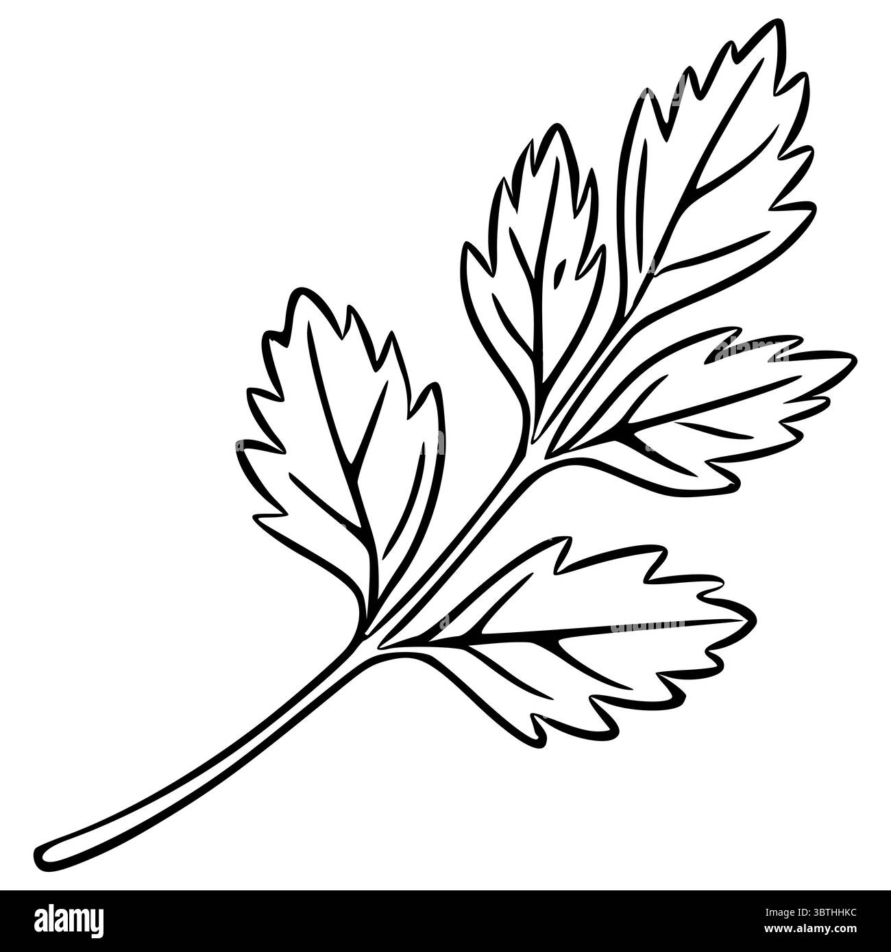 Showcasing unique lines Black and White Stock Photos & Images - Alamy