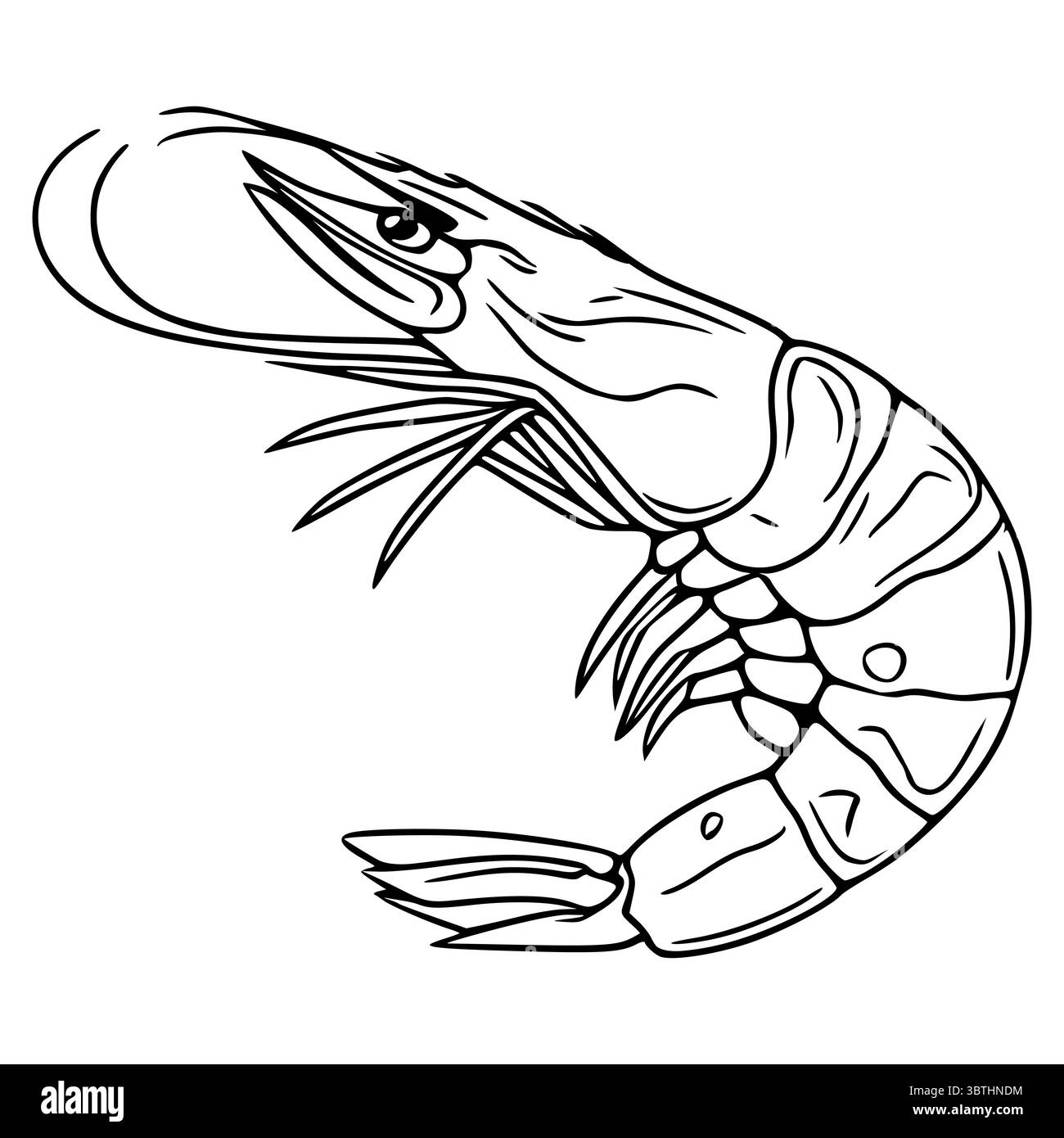 Body showcasing Black and White Stock Photos & Images - Alamy