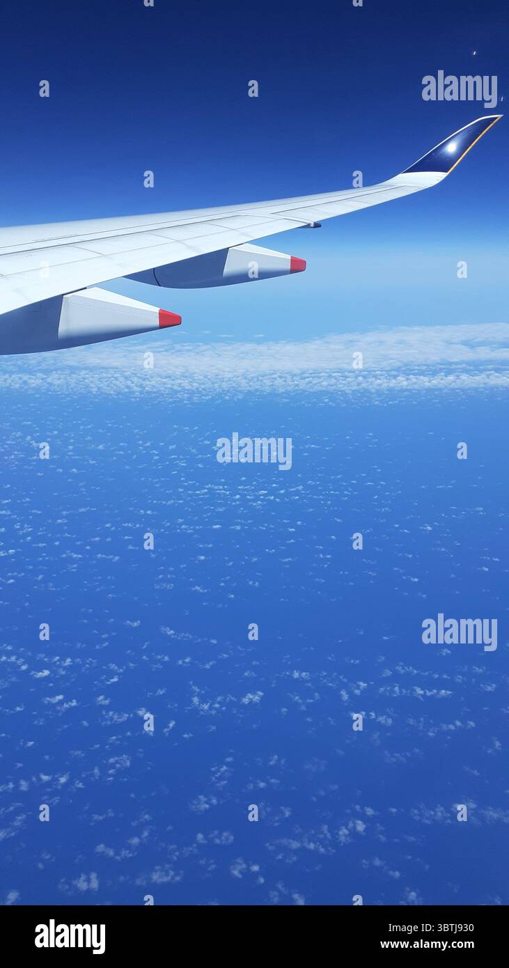favorite view from the window seat, Airplane Wing Stock Photo - Alamy
