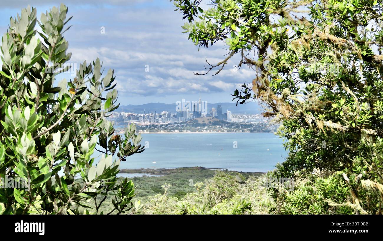 Auckland skyline from rangitoto island hi-res stock photography and ...