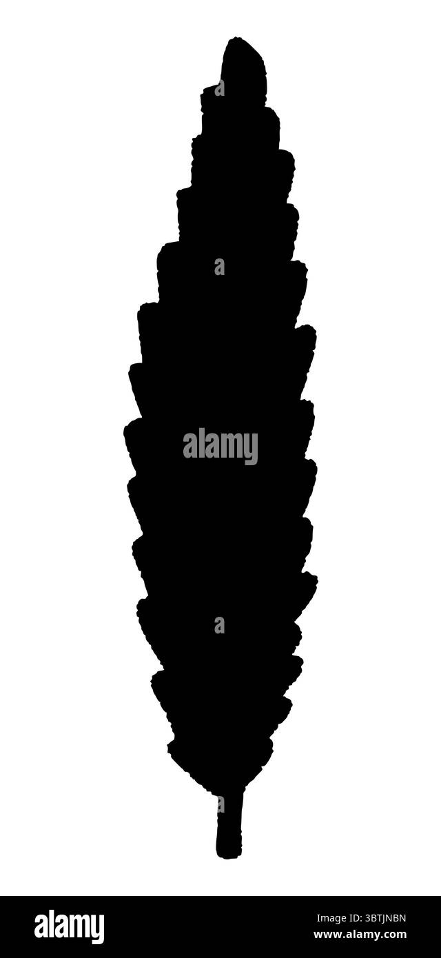 Mediterranean foliage Cut Out Stock Images & Pictures - Alamy