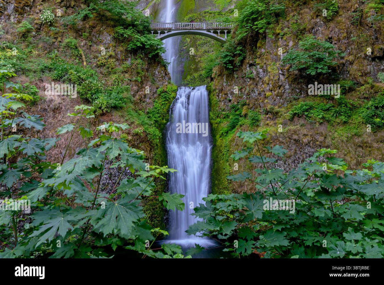 Multnomah falls bridge waterfalls in hi-res stock photography and ...