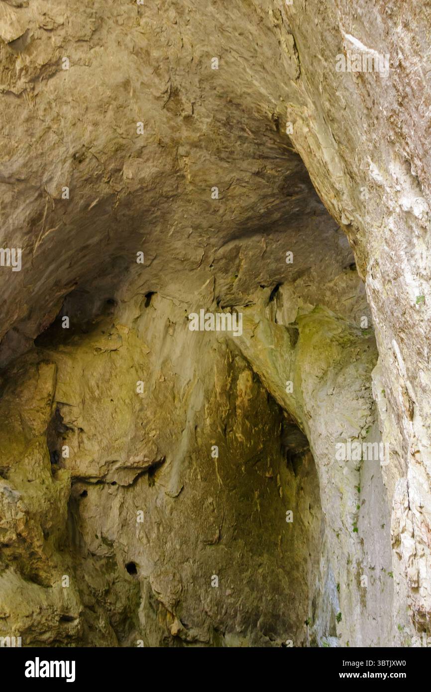 This captivating view reveals the intricate textures of a cave's rocky ...