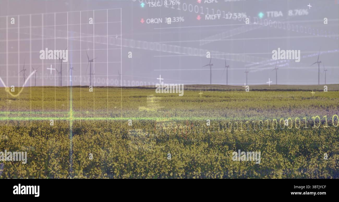 Displaying yellow flowering crop hi-res stock photography and images ...