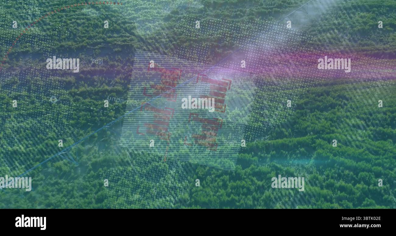 Mapping dense forest canopy from aerial perspective, with grid dots and ...
