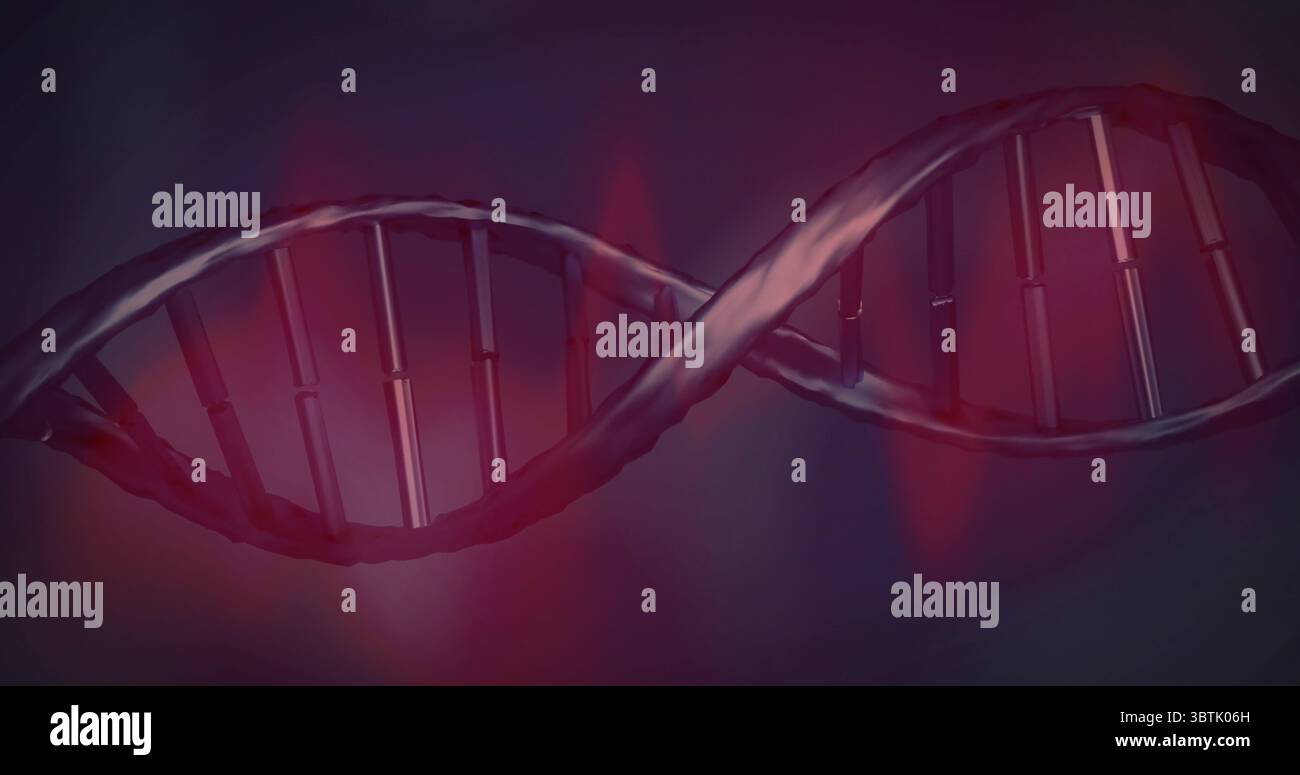 Rotating DNA double helix model twisting across digital space, with ...
