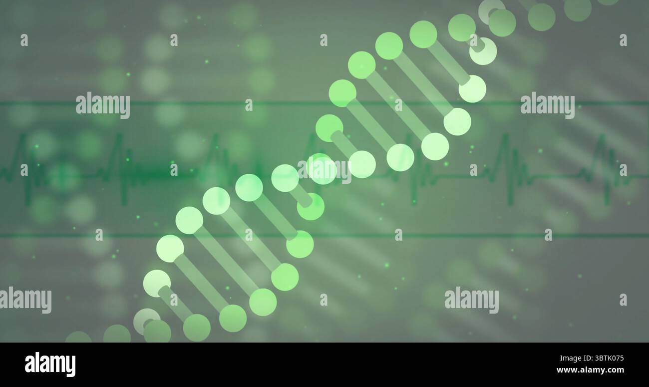 Slanting green DNA double helix graphic across abstract medical background, with ECG waveform ...