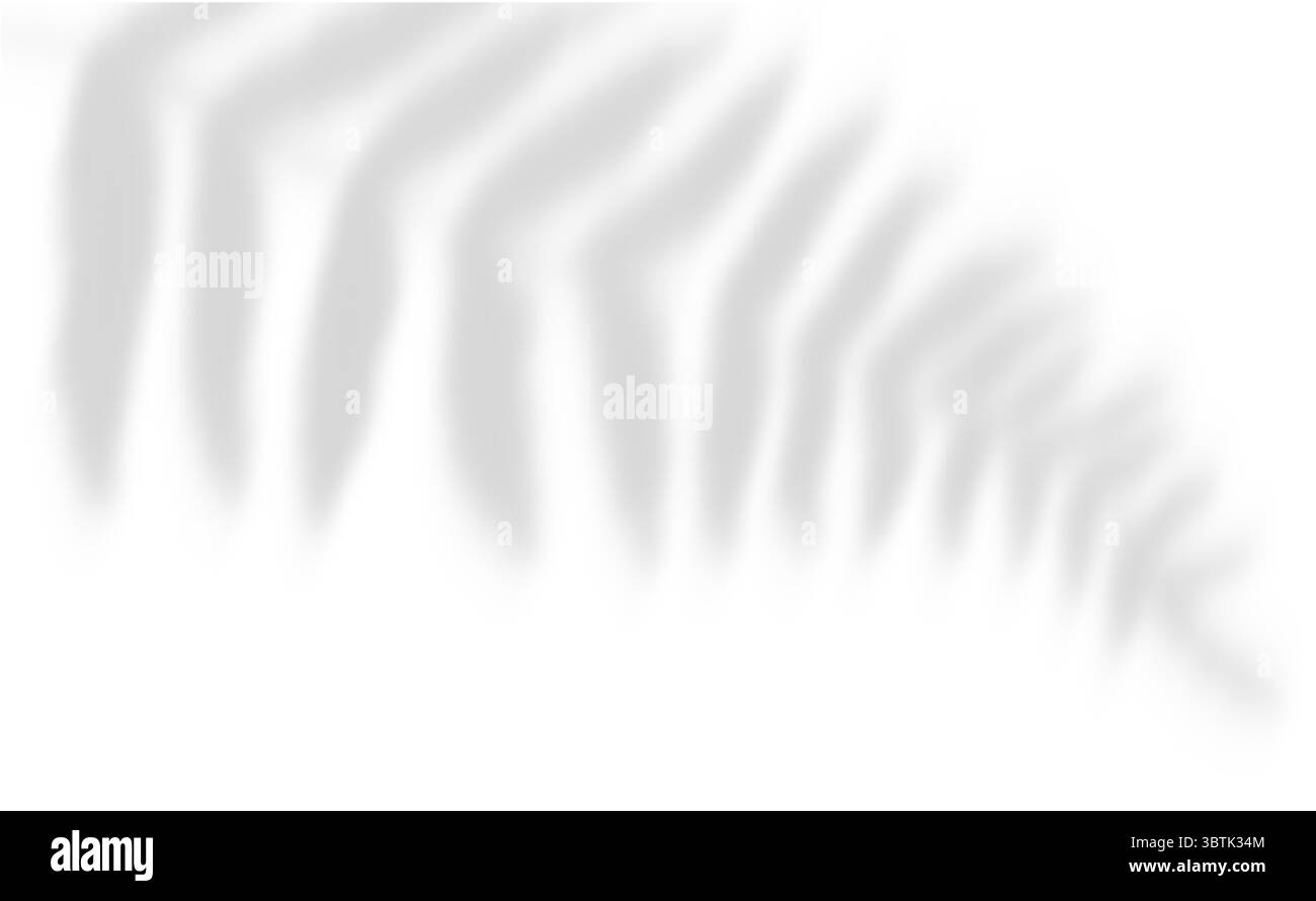 Realistic palm leaf shadow overlay effect isolated on white background ...