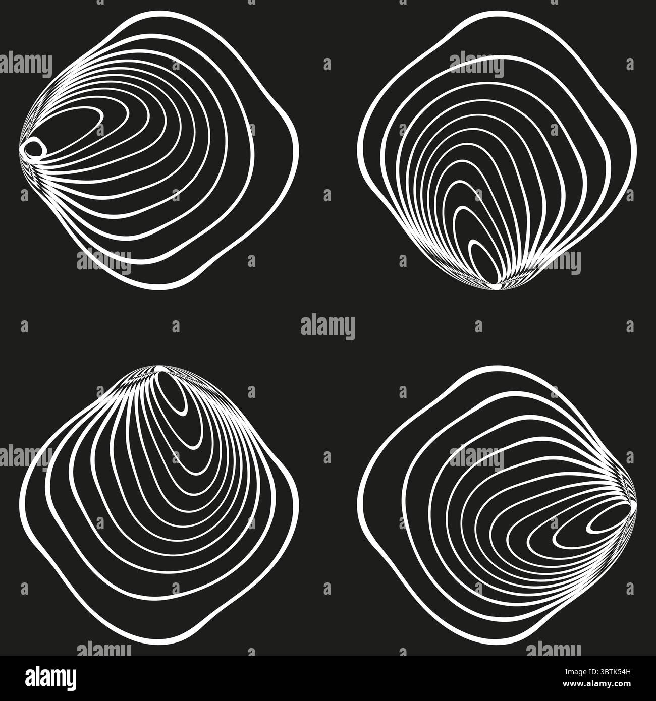 Concentric line forms. Abstract shell shapes. Smooth curve patterns ...