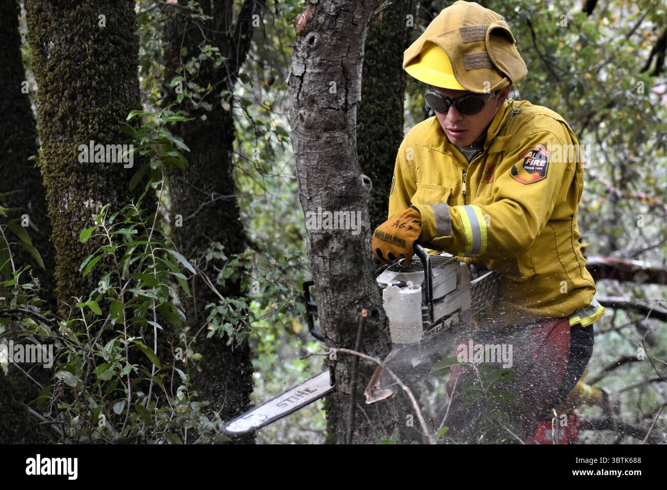 Joint task force rattlesnake hi-res stock photography and images - Alamy
