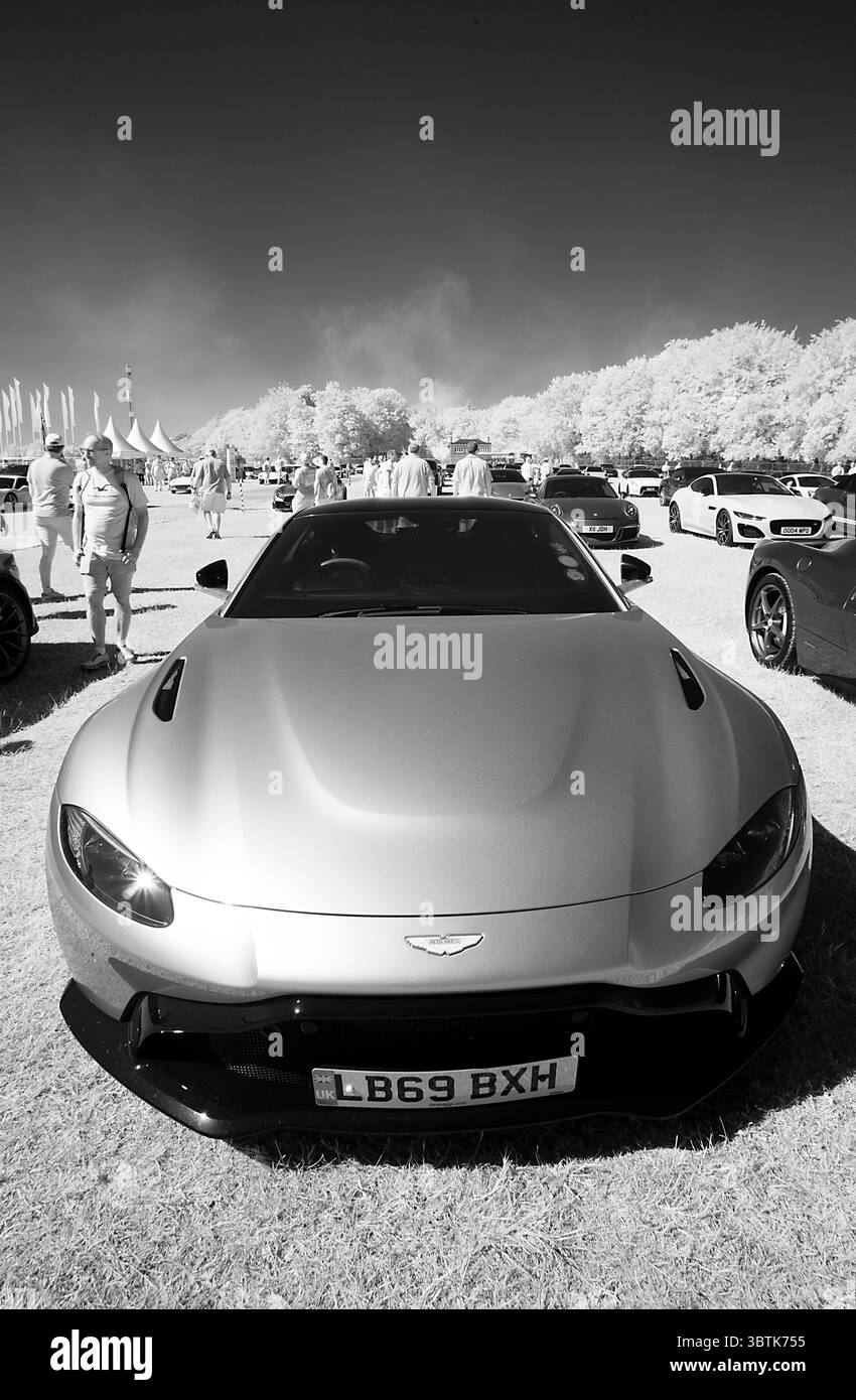 Aston Martin Vantage in the Performance Parking Area at The Festival of ...