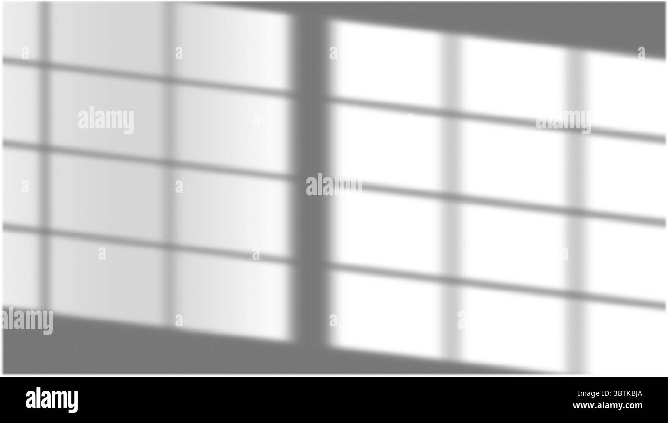 Overlay shadow from windows, openings and tropical plants. High quality shadows. Vector ...