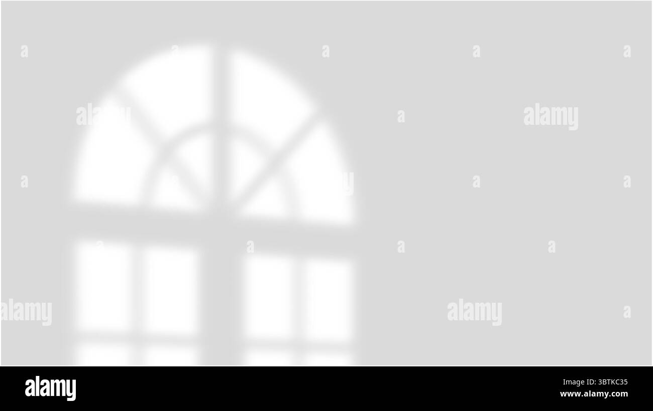 Overlay shadow from windows, openings and tropical plants. High quality shadows. Vector ...