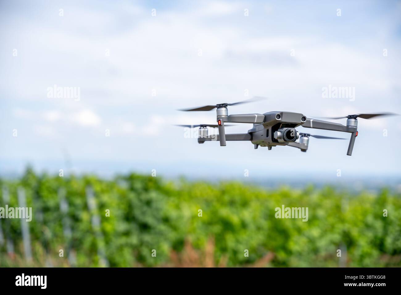 Flying Drone in Vineyard Captured in Sharp Focus – Modern UAV with ...