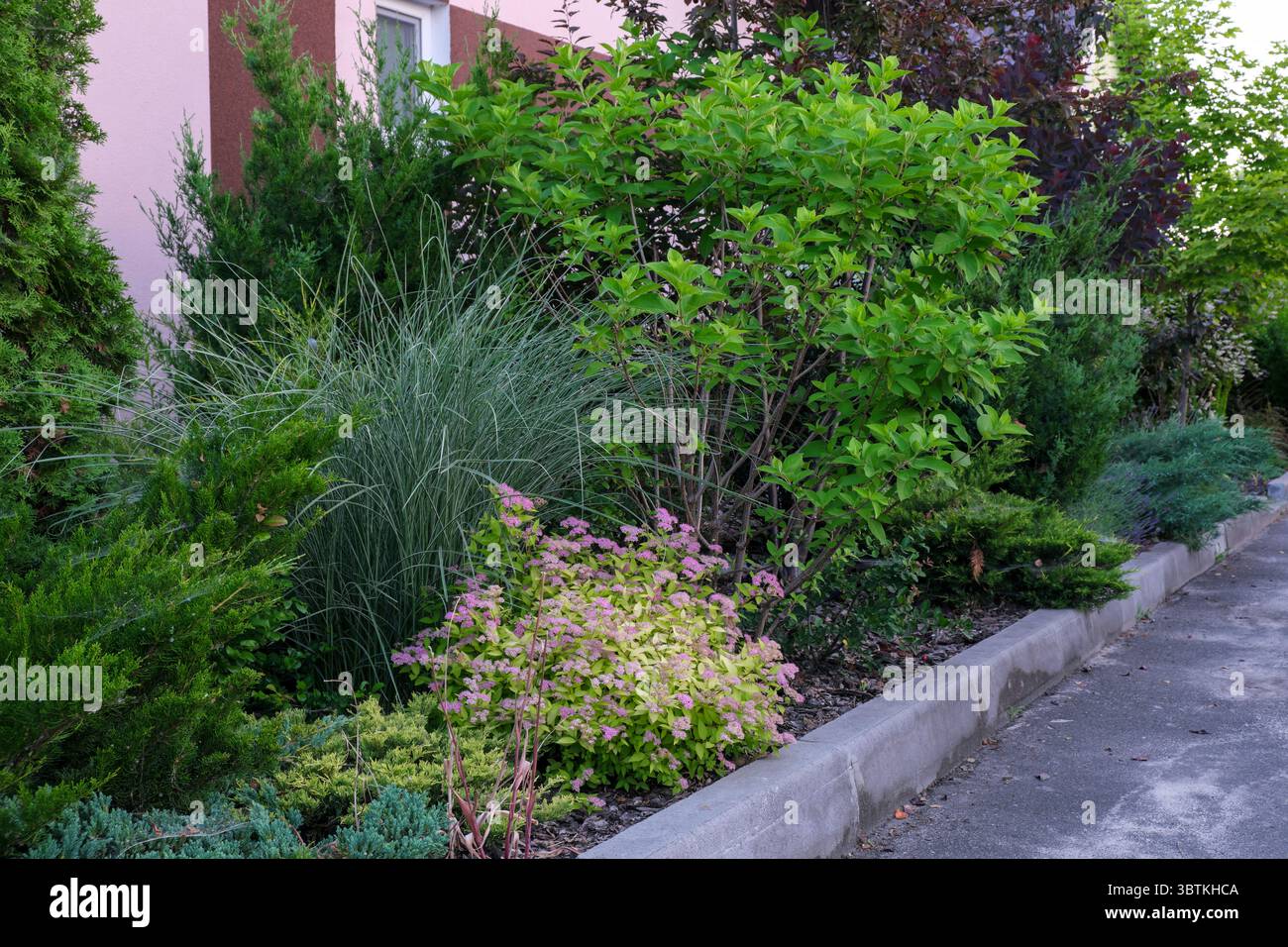 Natural ecological flower and plant design elements vegetal colorful ...