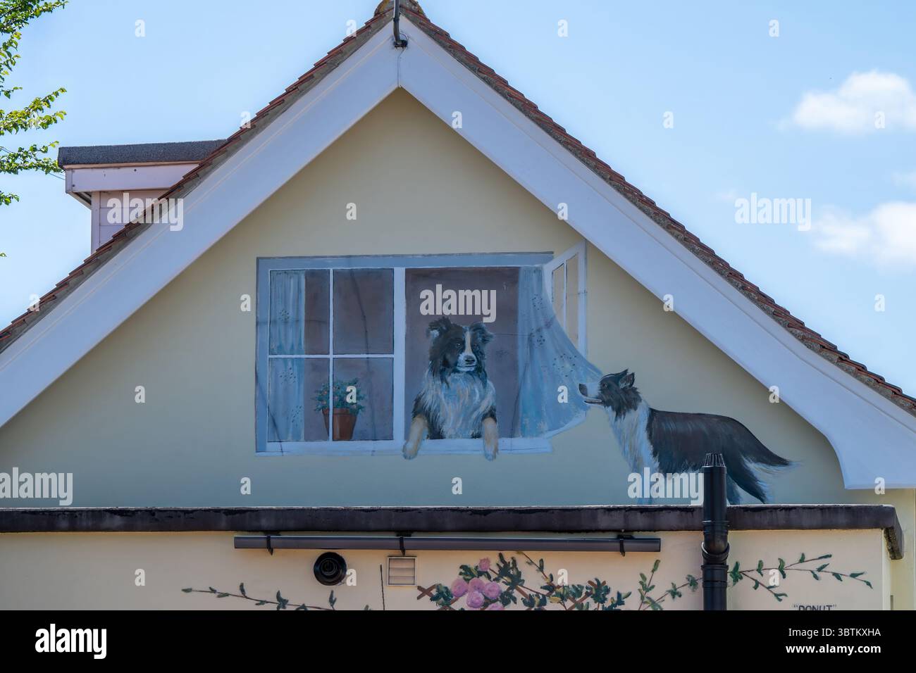 Painting a dog house hi-res stock photography and images - Alamy