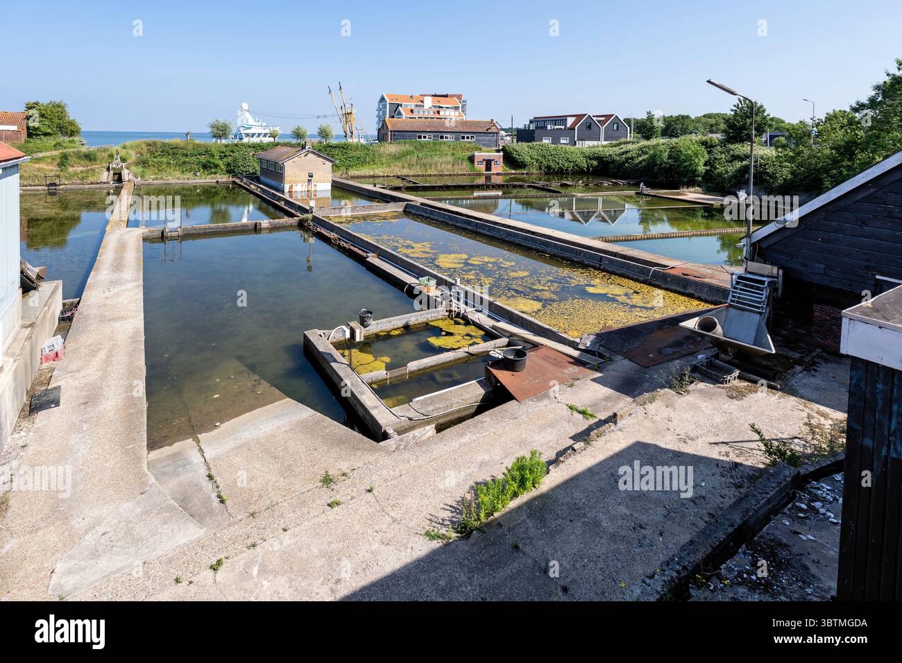 historic oyster pits in Yerseke, Zeeland, Netherlands Stock Photo - Alamy
