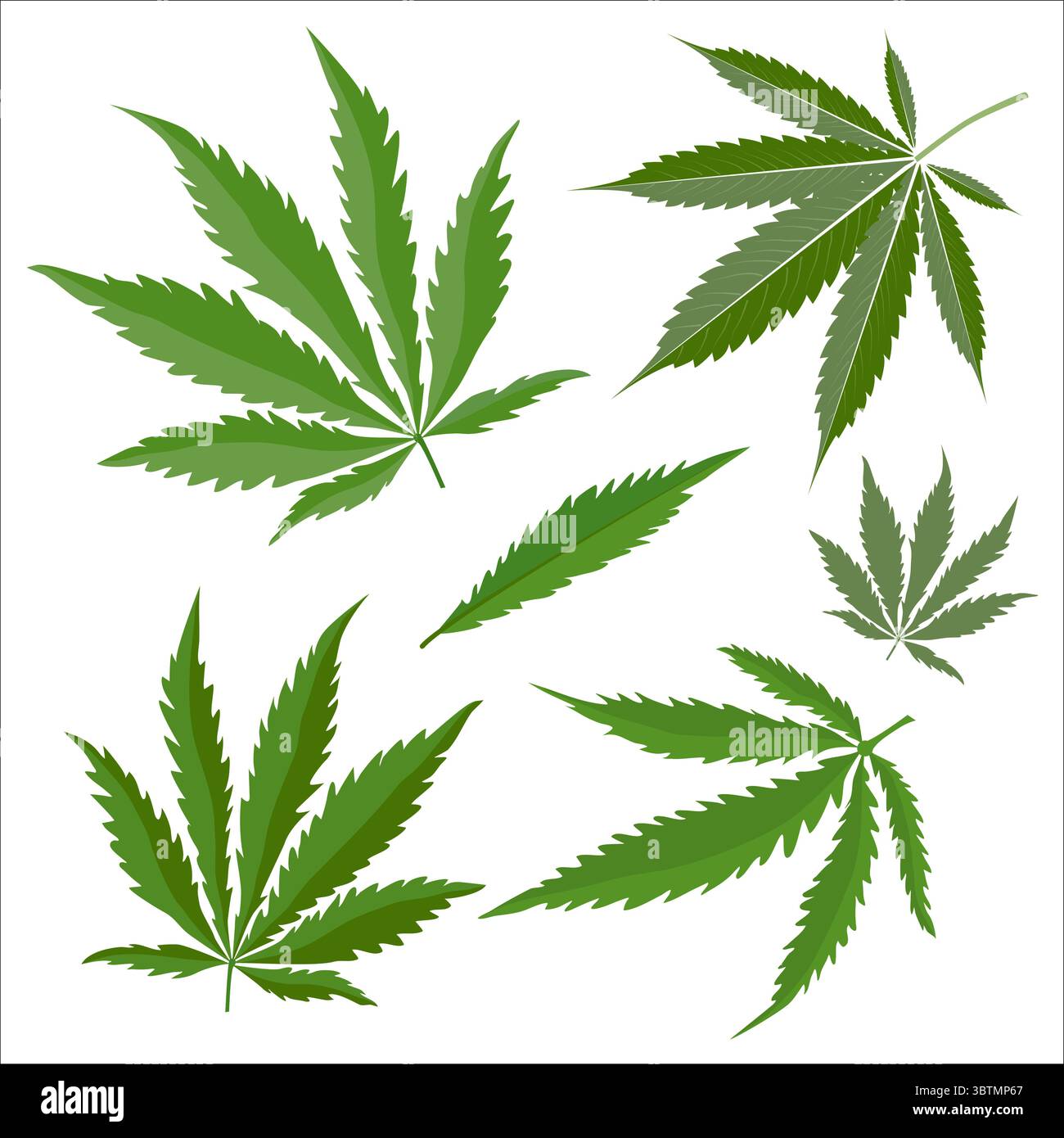 Cannabis leaves isolated on Stock Vector Images - Alamy