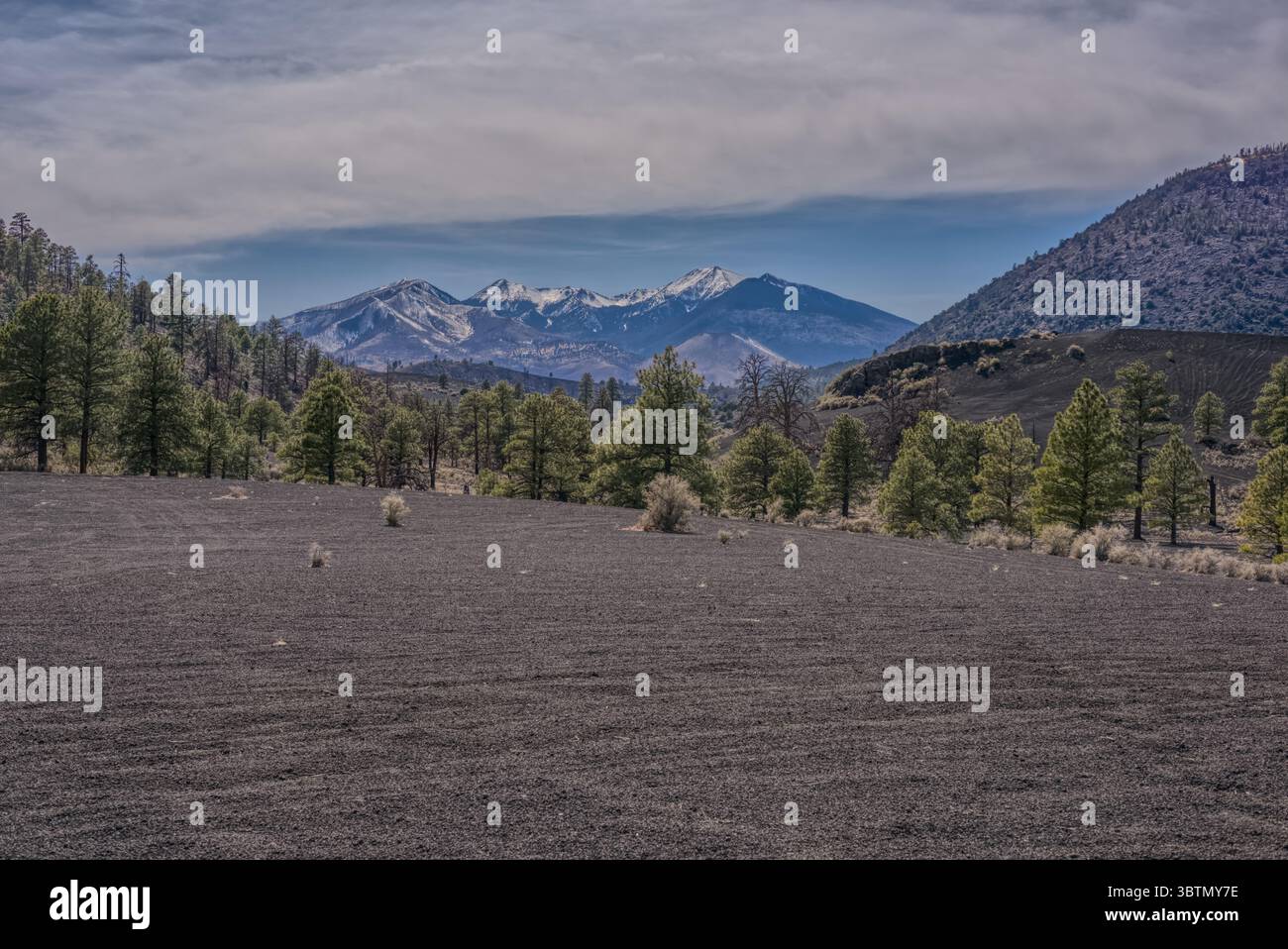 Humphrey's Peak viewed from a volcanic cinder hill in Coconino National ...