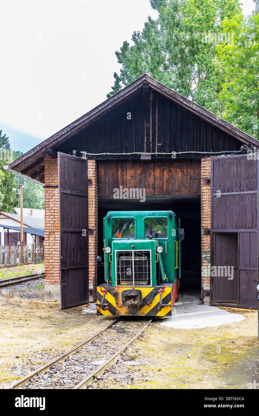 Green narrow gauge railway engine leaving wooden depot in Palhaza ...