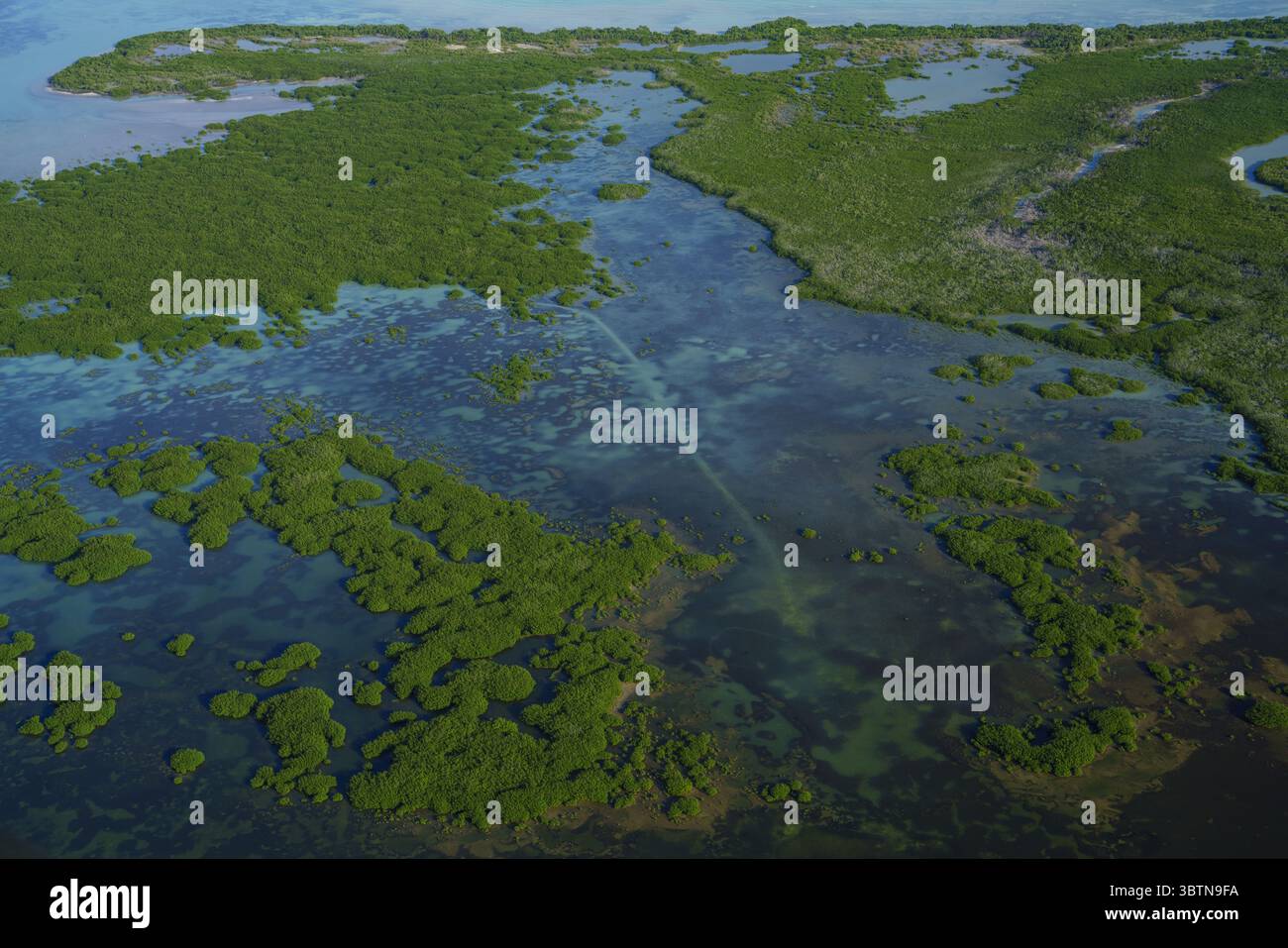 Aerial view of turquoise waters winding through vibrant green mangrove ...