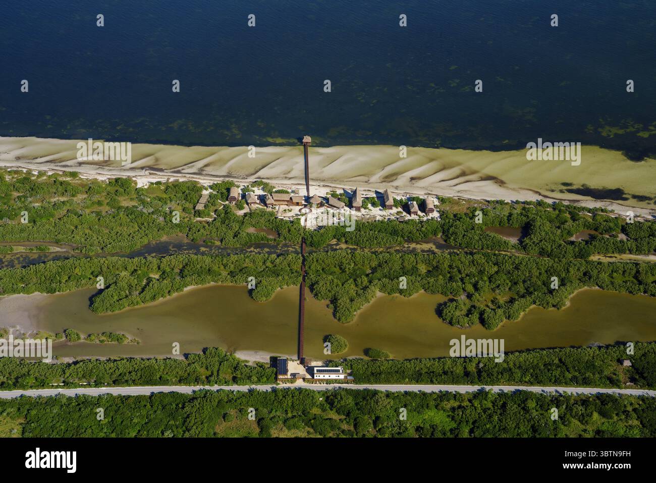 Aerial view of a path stretching from the shore through lush greenery ...