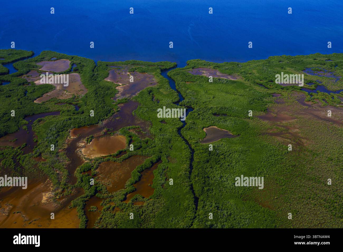 Aerial view of a sinuous river cutting through vibrant green mangroves ...