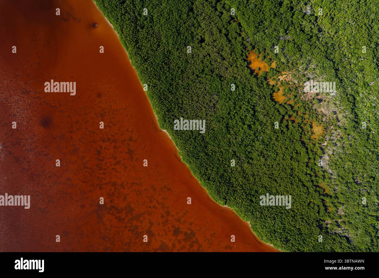 Aerial view of vivid red waters meet the lush green vegetation in a ...