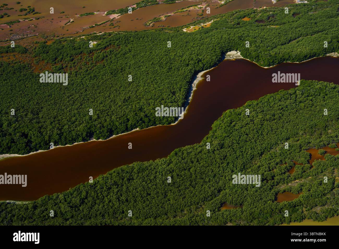 Aerial view of a river of rust carves through a vibrant green mangrove ...