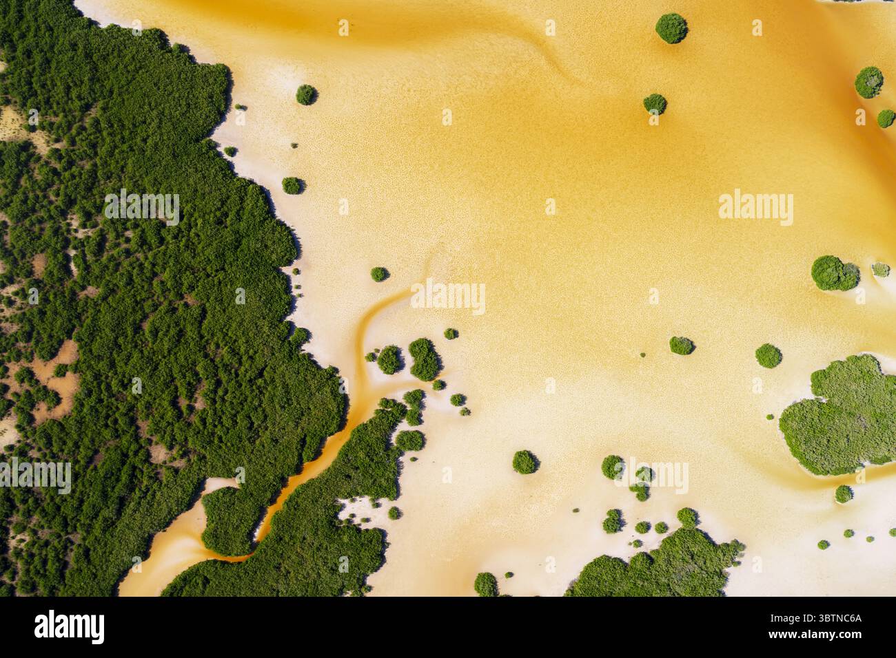 Aerial view of where the emerald mangroves meet the ochre coastline ...