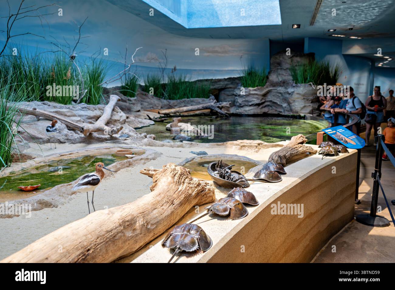 Zoo renovation 2021 hi-res stock photography and images - Alamy