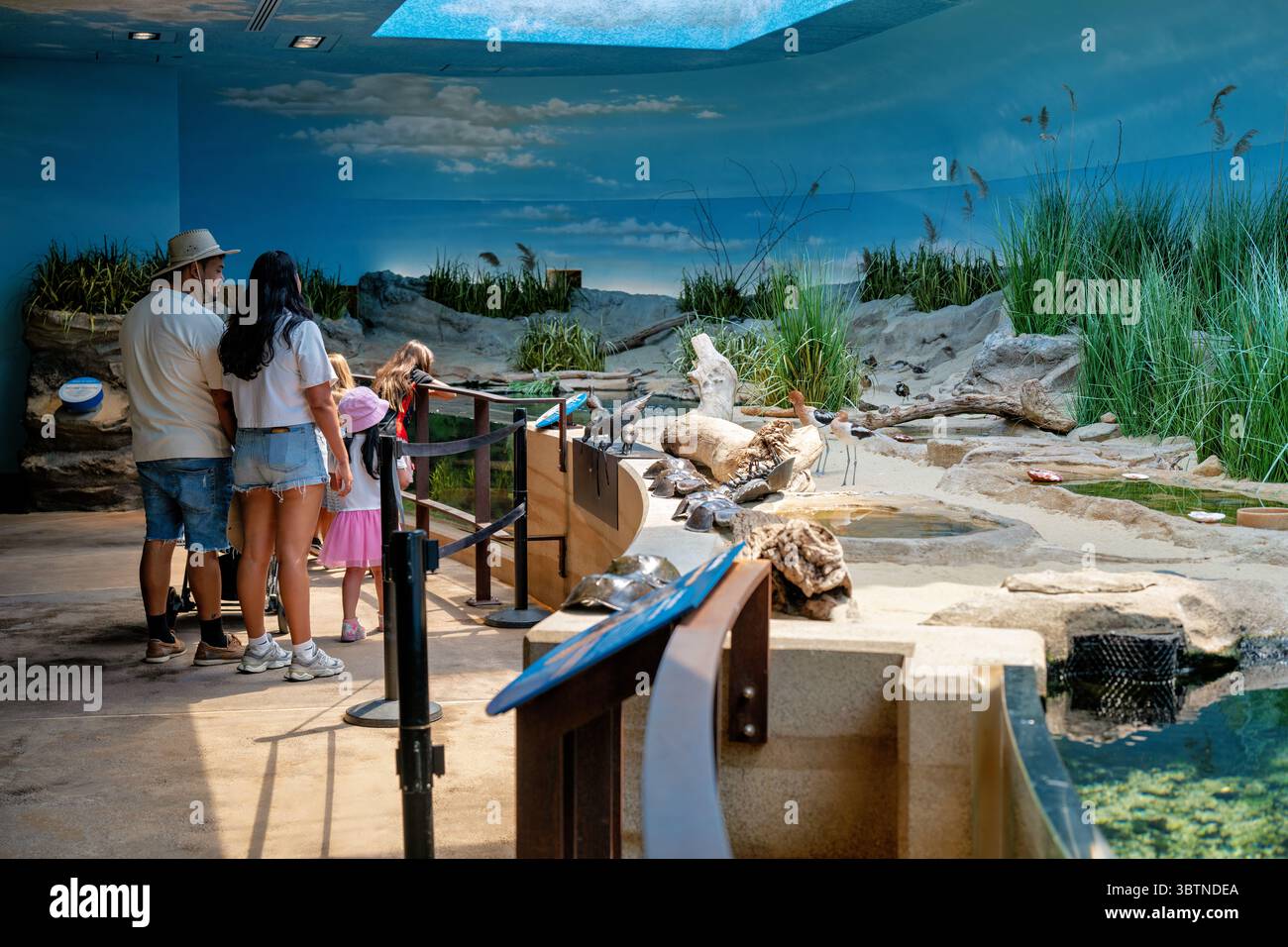 Dc zoo attractions hi-res stock photography and images - Alamy