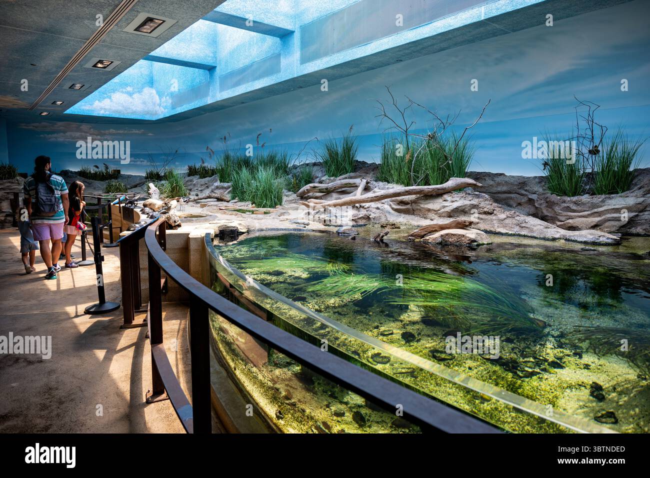 WASHINGTON DC — The seashore walkthrough exhibit is housed within the ...