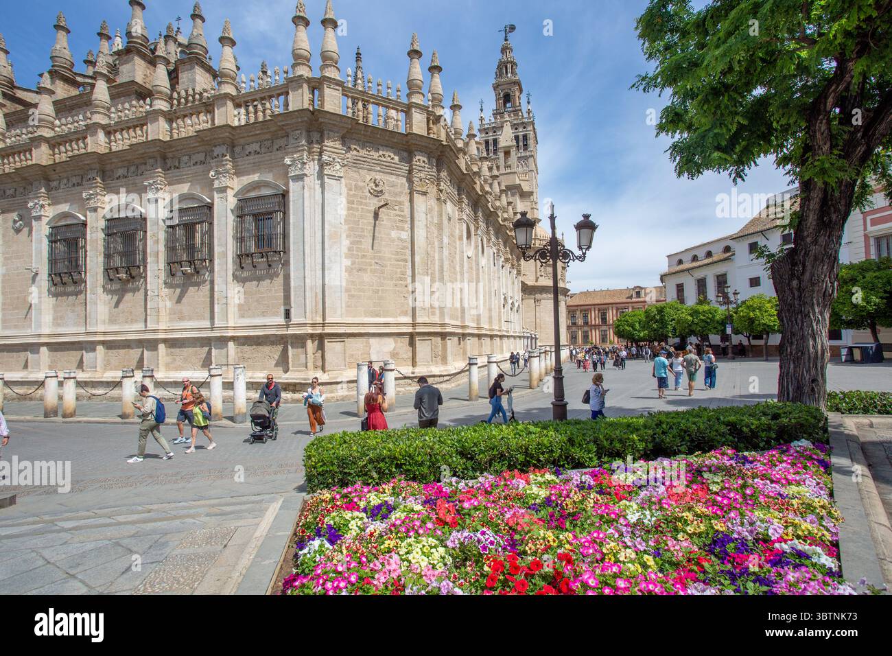 The Spanish Cathedral of Seville Spain, seen across floral flower beds ...