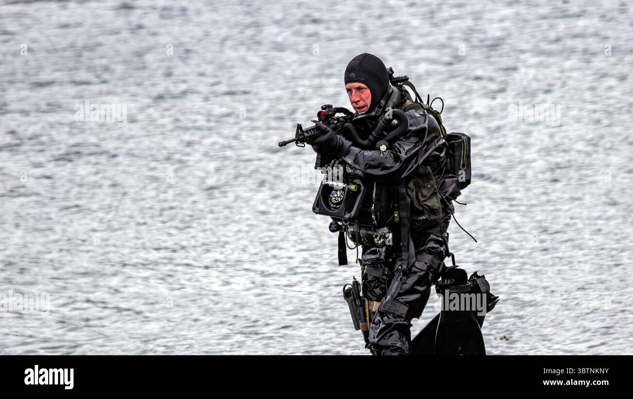 Special Forces combat diver armed and walking out of the sea during an ...