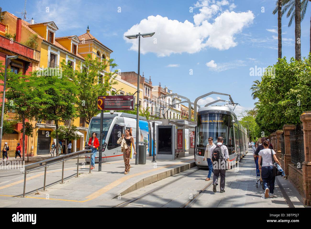 Trams operating for public transport in the Spanish city of Seville ...