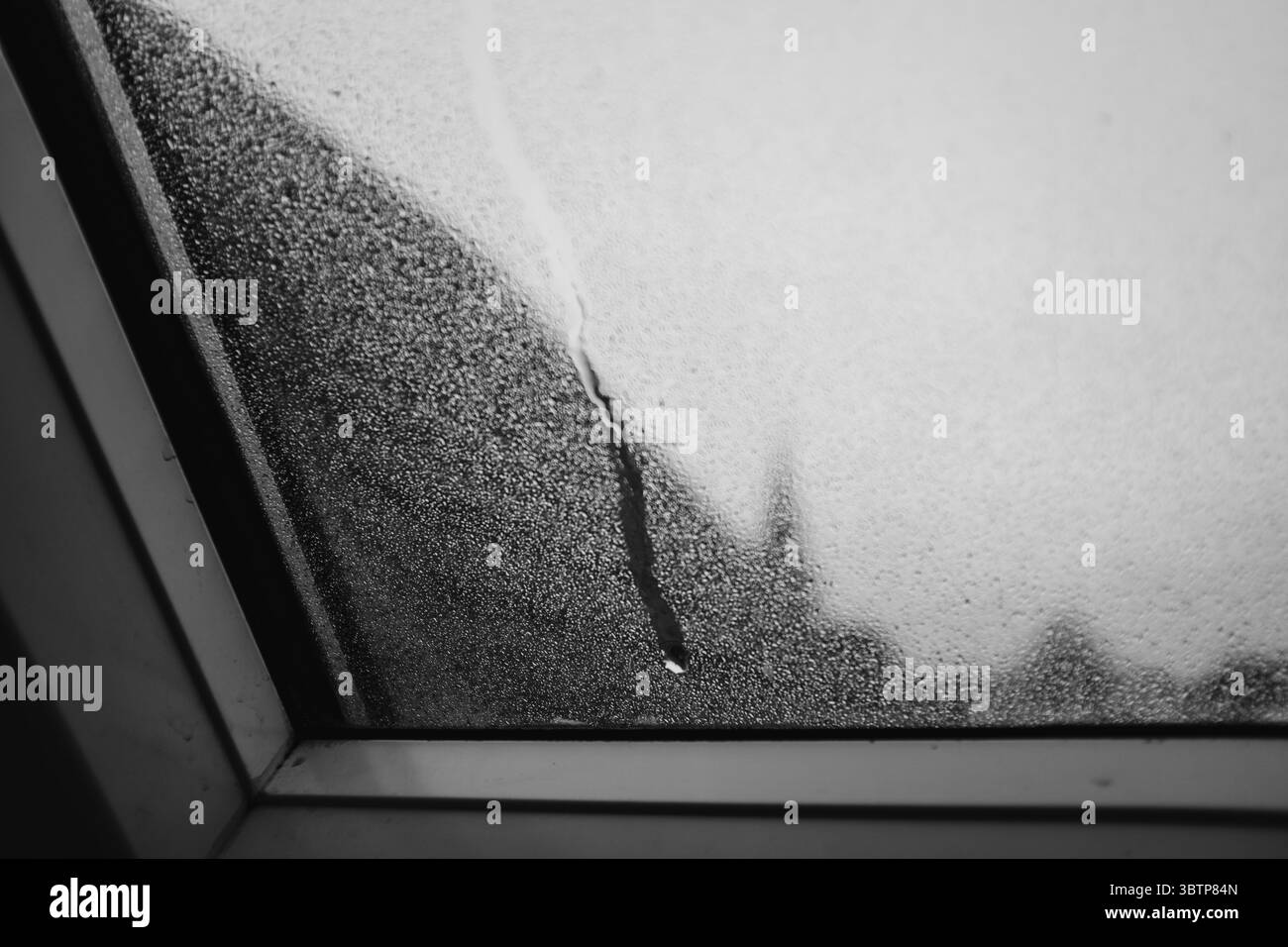 Roto w hi-res stock photography and images - Alamy