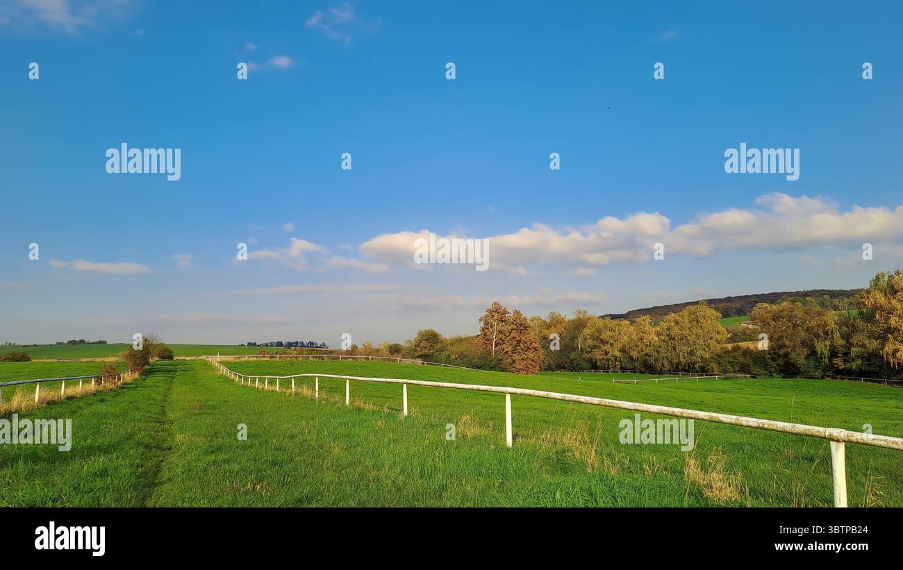 Green horse paddocks with white rail fencing under blue sky in a rural ...