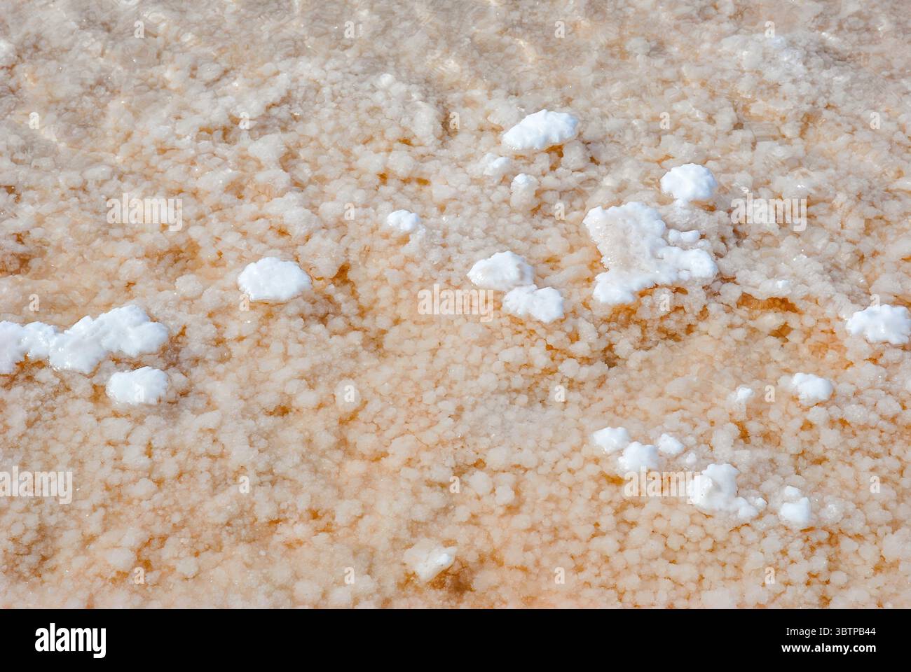 Sea salt crystals forming on the surface of a shallow salt flat in ...