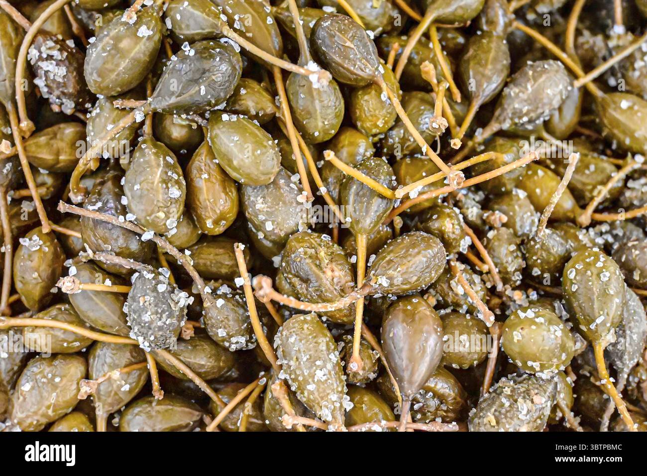 Close-up of salted caper berries with stems, showing their wrinkled ...