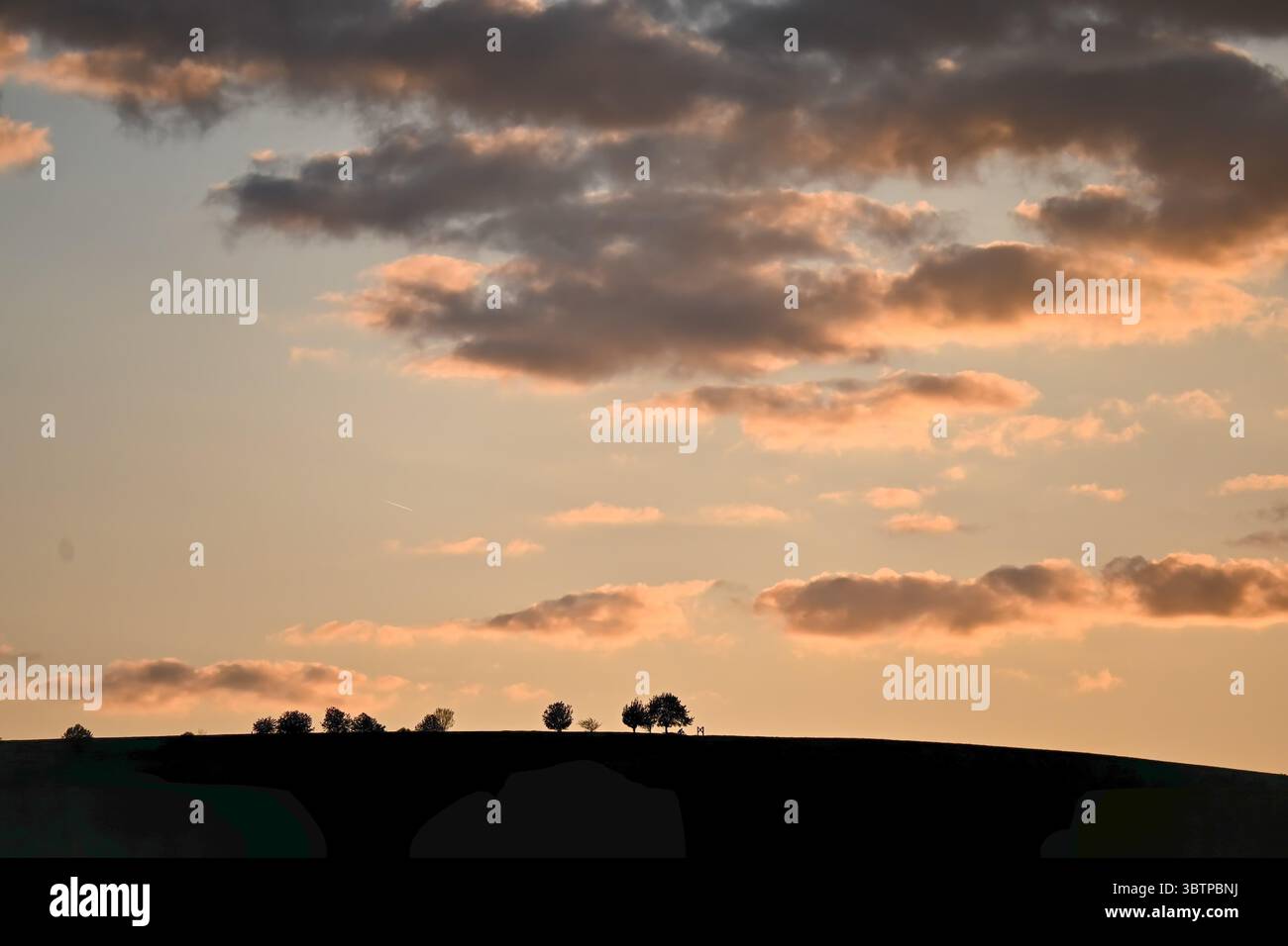 Evening sky trees hi-res stock photography and images - Alamy