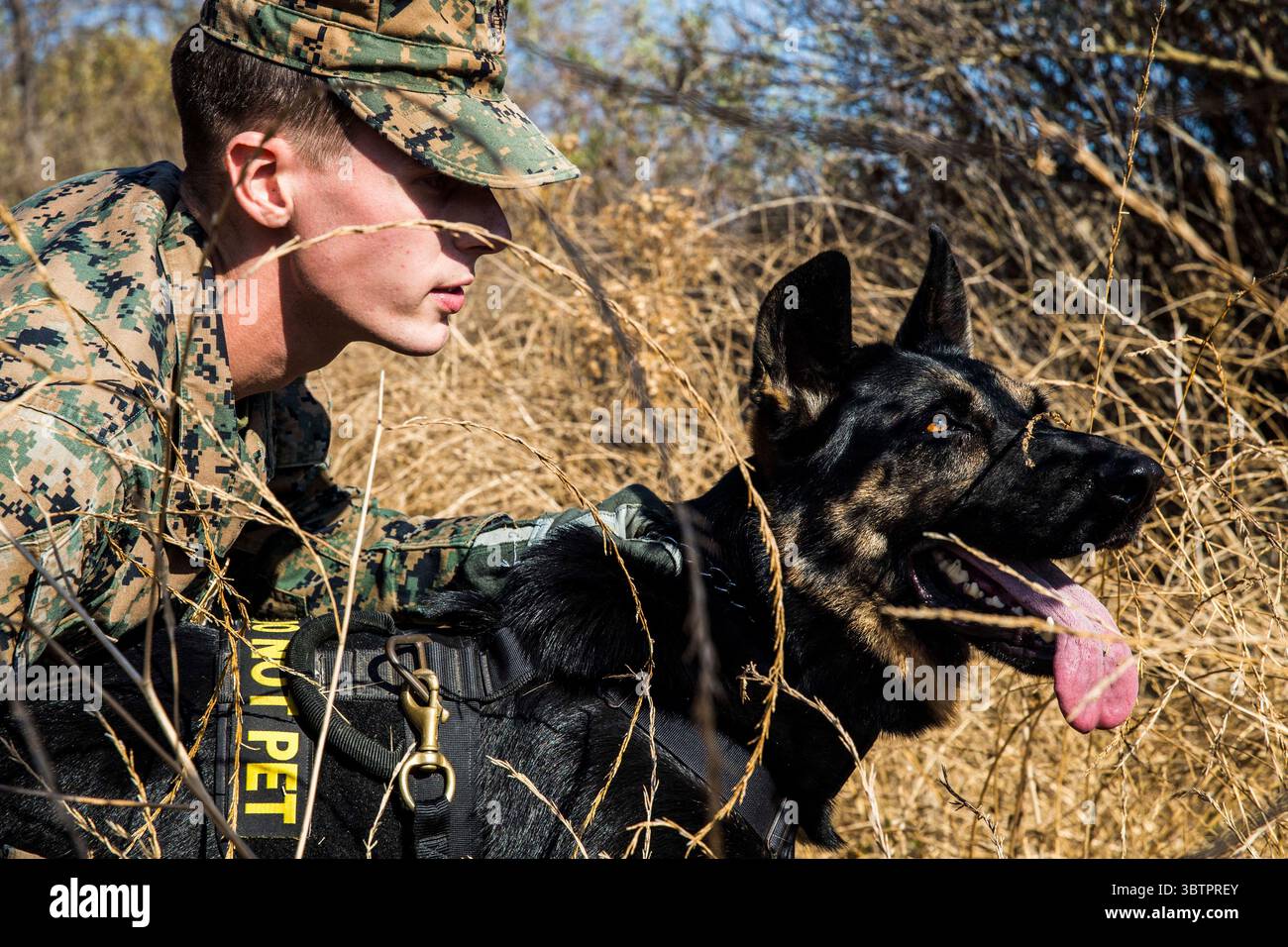 November 6, 2019 - Camp Pendleton, California, USA - U.S. Marine Cpl ...
