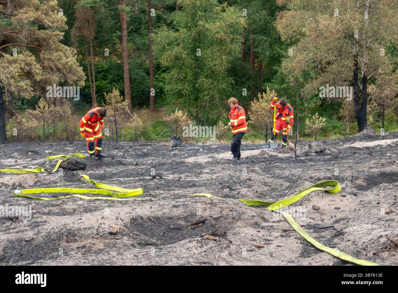 Surrey Fire & Rescue Service attending a heathland site a few days ...