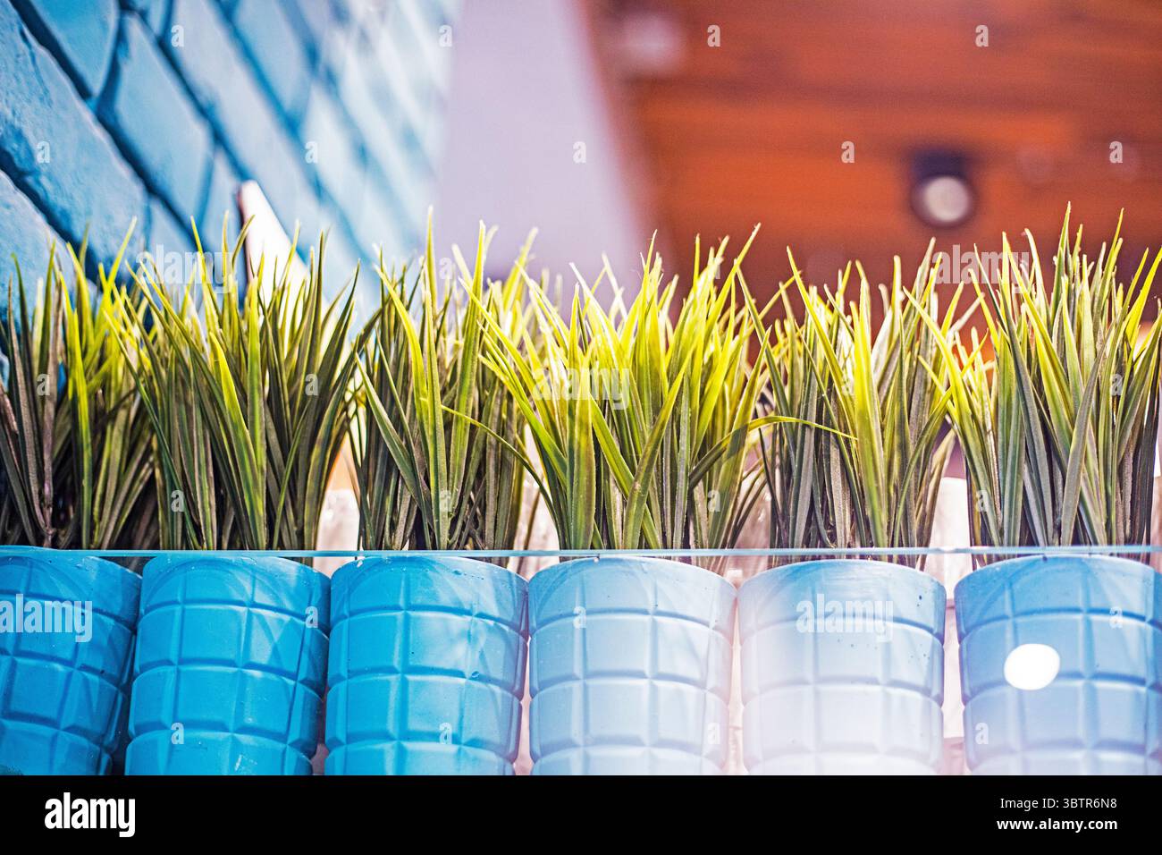 Grass inspired interior decor hi-res stock photography and images - Alamy