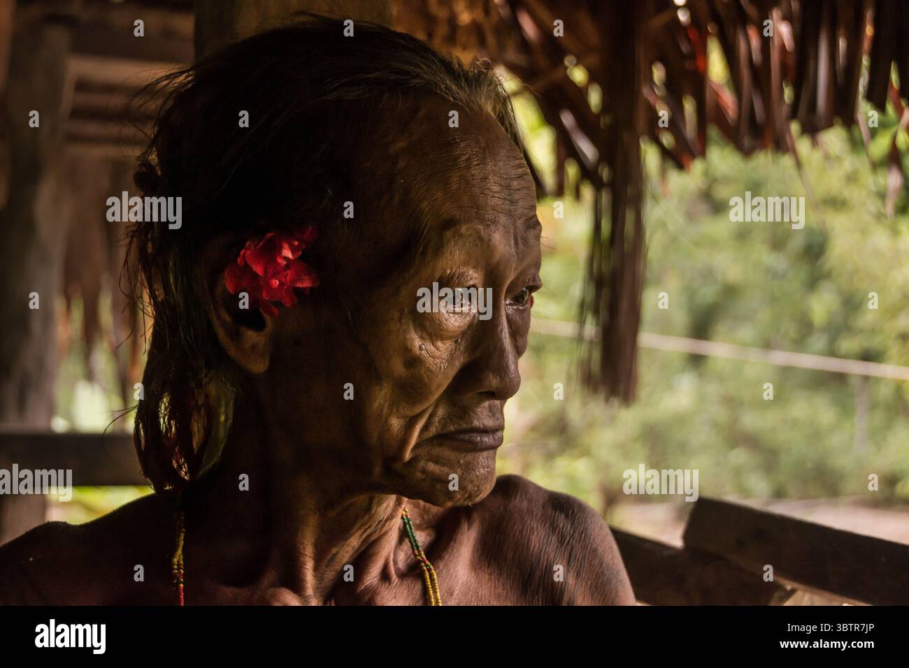 February 17, 2019, Madobag, Siberut Island, Mentawai Islands, Indonesia: Toikot looks out over ...