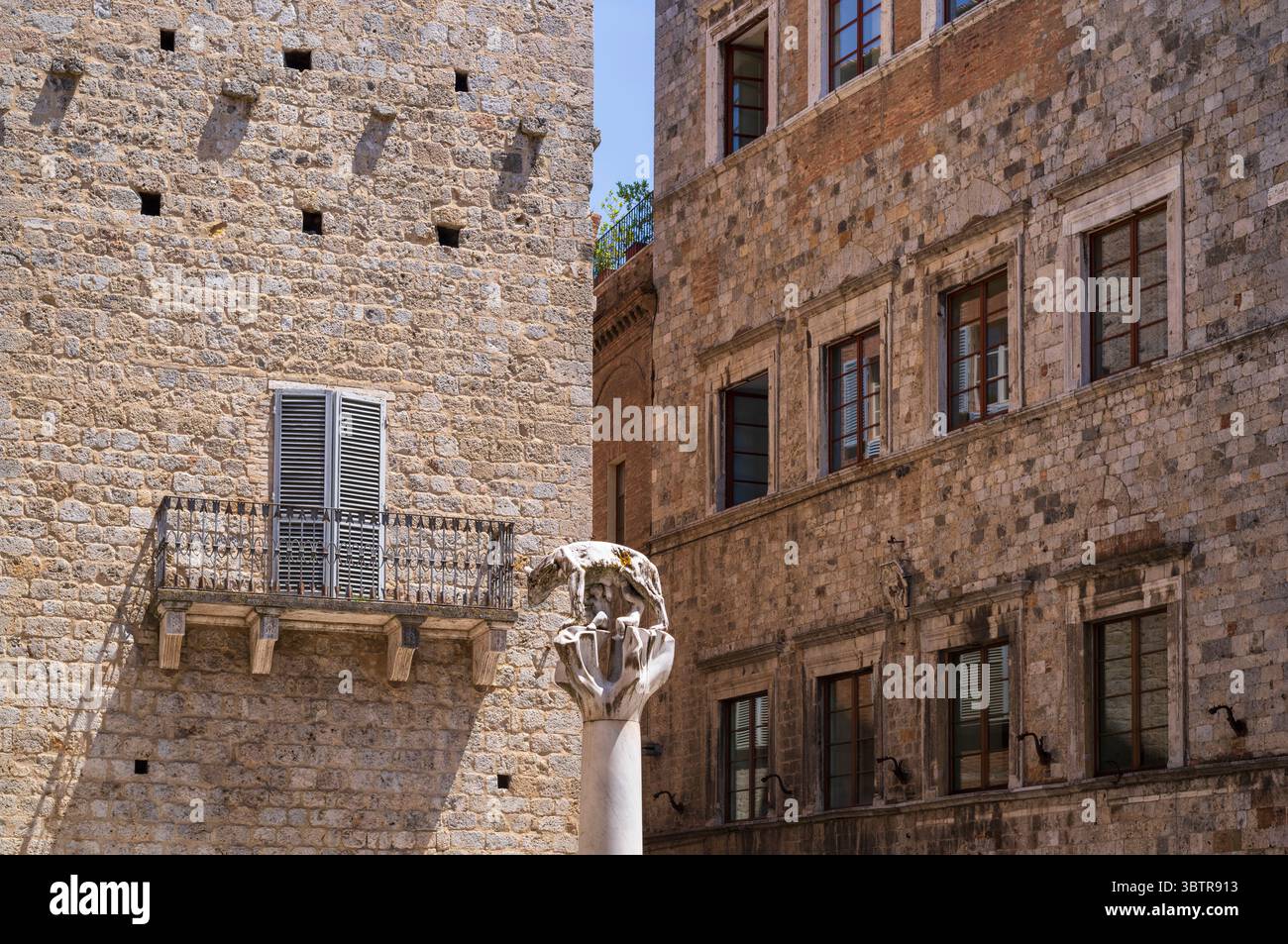 Statue of the Capitoline Wolf suckling the Romulus and Remus - symbol ...