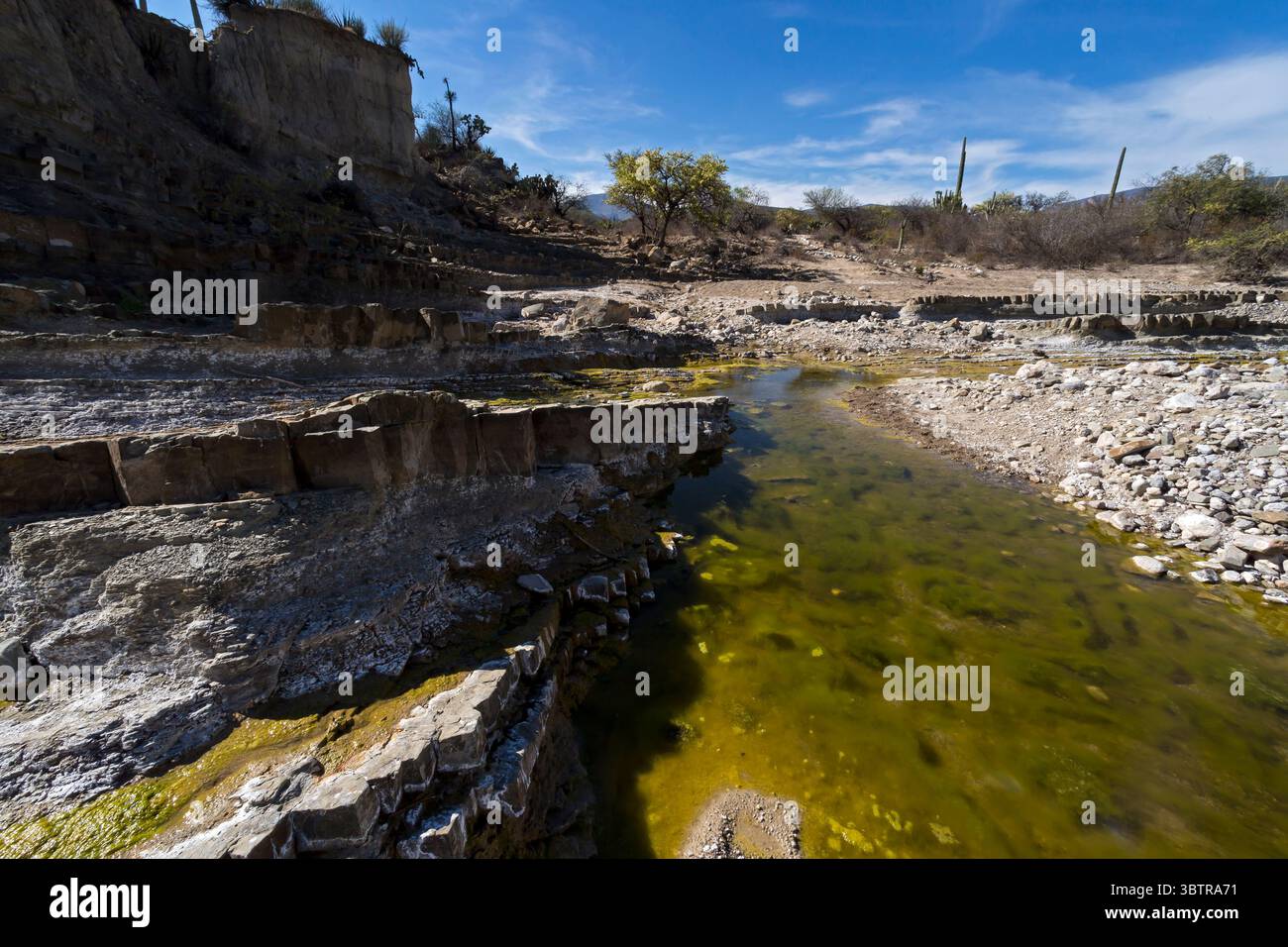 A visit ar San Juan Raya, desert town where there are many fossils ...