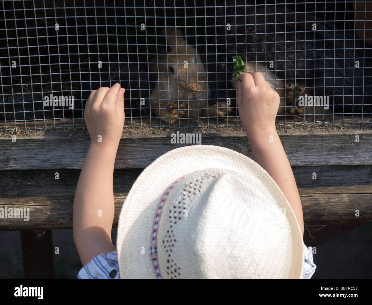 Moment empathy hi-res stock photography and images - Alamy