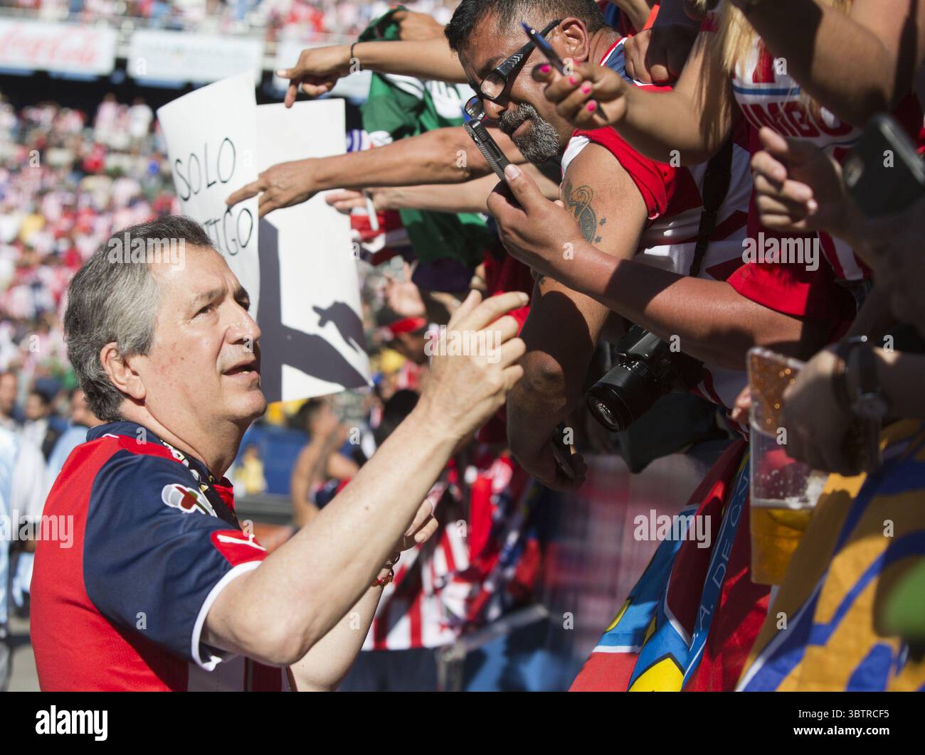 Club de tiburones hi-res stock photography and images - Alamy